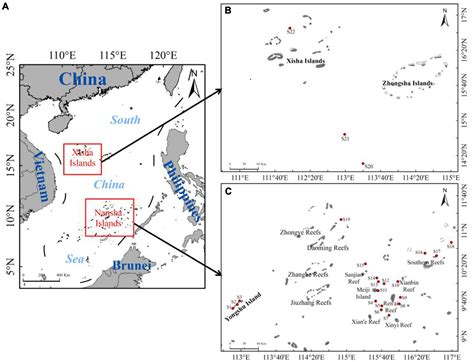 Frontiers Spatial Distribution And Composition Of Surface