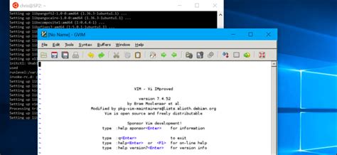 how to run graphical linux desktop applications from windows 10 s bash