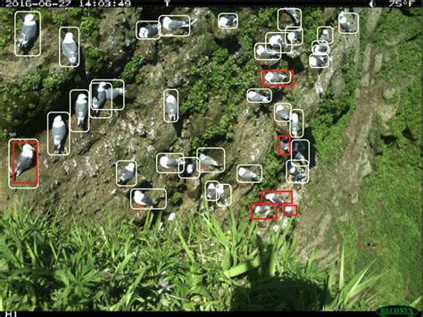 using object detection for complex image classification scenarios part