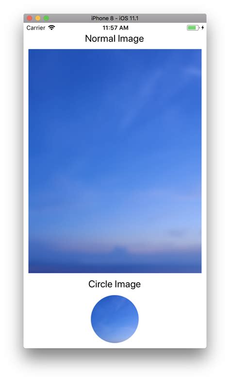 venky xamarin tutorials circle image in xamarin forms