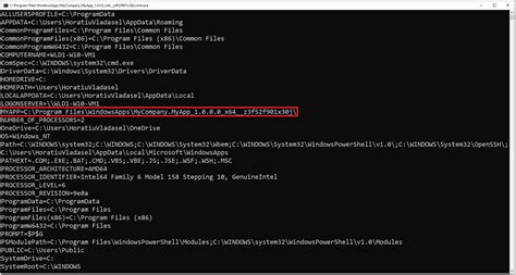 how to set up an environment variable in msix to directory and file paths