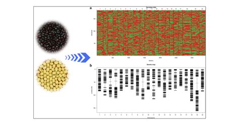 Qtl Mapping For Protein And Sulfur Containing Amino Acid Contents Using