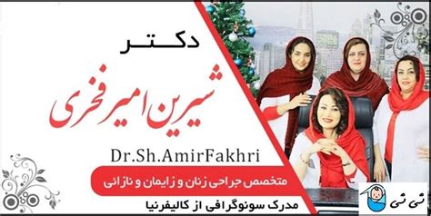 دکتر شیرین امیرفخری از بهترین پزشکان متخصص زنان و زایمان و نازایی ارومیه