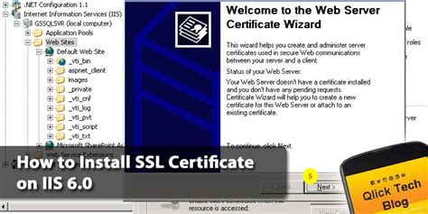 install ssl certificate iis 6 0 windows web server