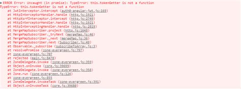 error error uncaught in promise typeerror this tokengetter is not