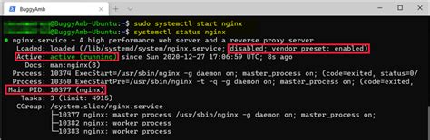 install nginx and configure it as a reverse proxy server asp core