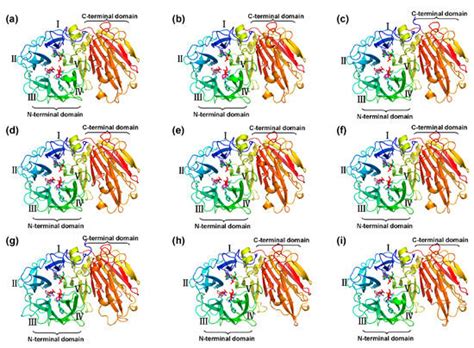Ijms Free Full Text Genome Wide Analysis Expression Profile And