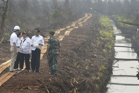 Satu Harapan Kebakaran Hutan Dan Lahan Di Kalimantan Tengah