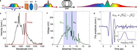 Time Resolved Spectroscopy Peers In On Irreversible Phenomena