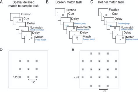 Schematic Diagrams Of The Behavioral Tasks A Sample Trial In The