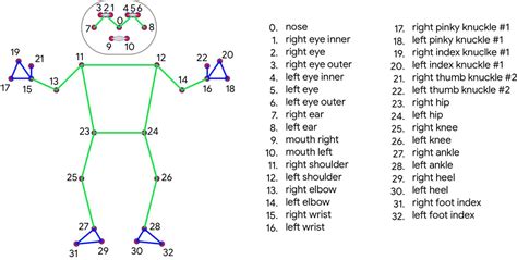 yolov7 pose vs mediapipe in human pose estimation