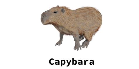 geeksforgeeks · github topics · github