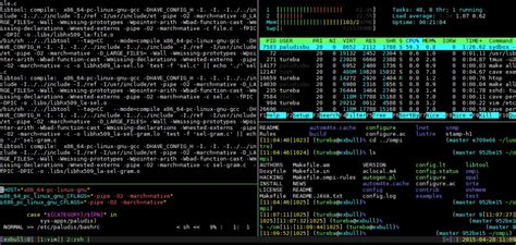 apache subversion svn setup for existing directory cnknv