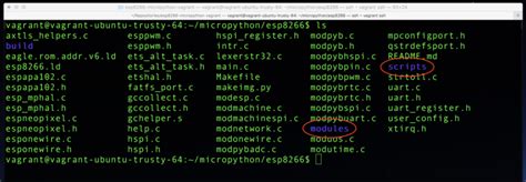 frozen modules micropython basics loading modules