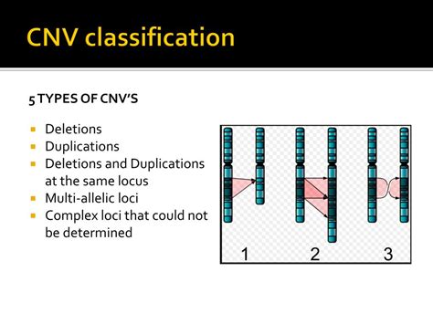 Ppt Global Variation In Copy Number In The Human Genome Powerpoint