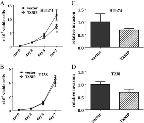Txnip Overexpression Inhibits In Vitro Growth Of Atc Hth74 Cells