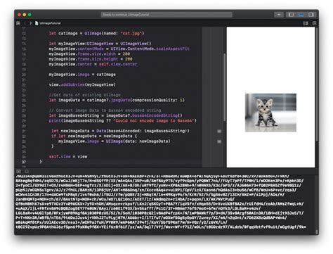 uiimage base64 encoding and decoding in swift apps