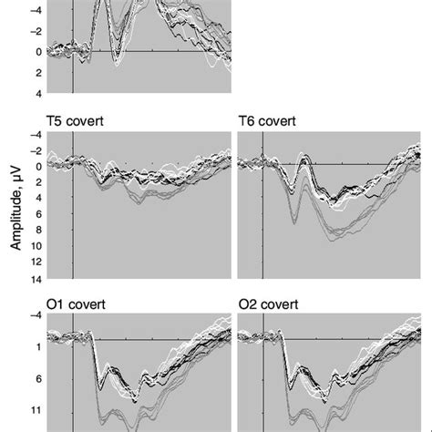 Event Related Potential Waveforms For The Frontal Fz Temporal Left