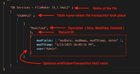 introducing claris filemaker 2023 db services