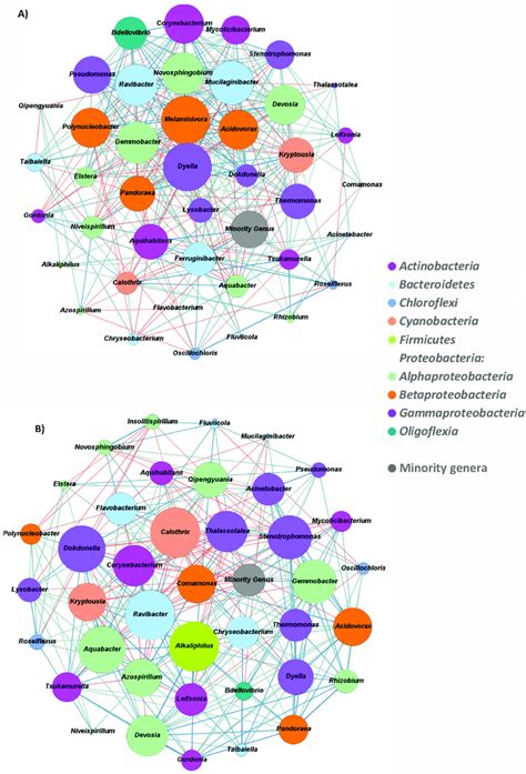 Co Occurrence Networks Of The Significant Spearmans Rank Correlation