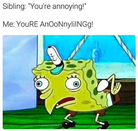 60 Of The Best Sibling Memes For Every Brother And Sister Bored Panda