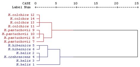 Cluster Analysis Wards Method And Squared Euclidean Distance 14