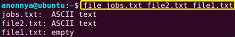 The “file” Command In Linux [9 Practical Examples] Linuxsimply