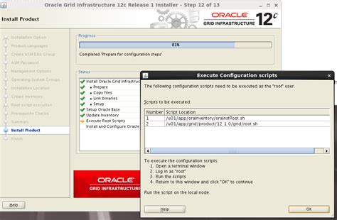 installing oracle 12c r1 grid infrastructure on linux 7 oraclenext