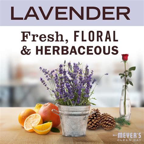 Mrs Meyers Clean Day 8 Fl Oz Lavender Air Freshener In The Air