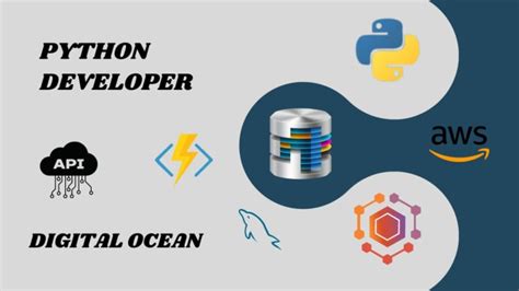 develop web applications using django by talha bhurgri fiverr