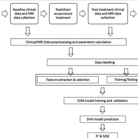 Flowchart Of Svm Algorithm For Acupuncture Efficacy Prediction