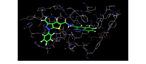 Model Of Compound 3b Docked Into The Binding Site Of Cox 2 Image Shows