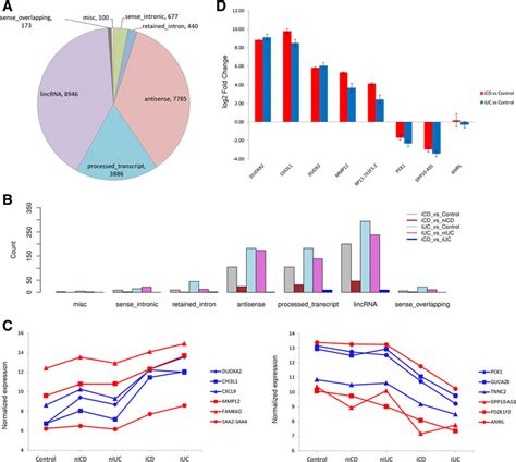 Gencode V 15 Annotation Of The Total Differentially Expressed Lncrnas