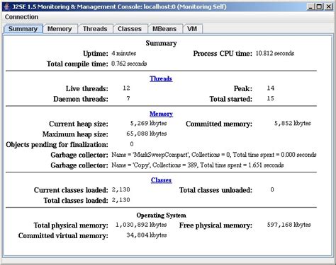 print java heap size