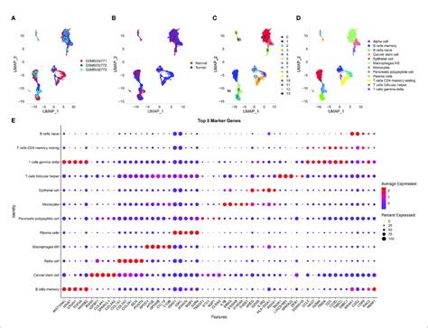 Dimensionality Reduction And Subgrouping Of Single Cells A Umap