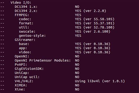 ubuntu opencv videowriter using ffmpeg with “could not open codec