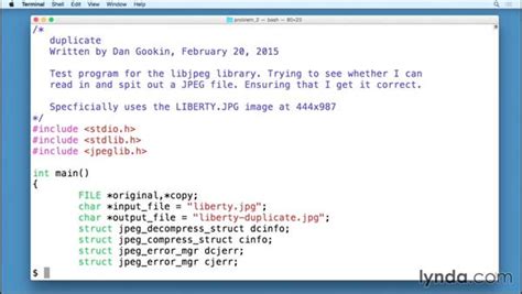 write a file in c net