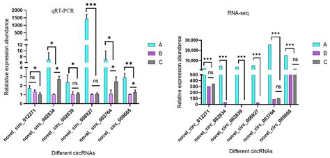 Genes Free Full Text Analyses Of Lncrnas Circrnas And The