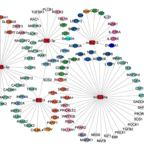 A Pairwise Correlation Among The Expression Levels Of The Ve Mirnas