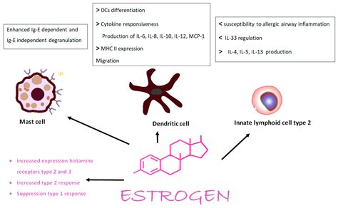 Sex And Gender Aspects For Patient Stratification In Allergy Prevention