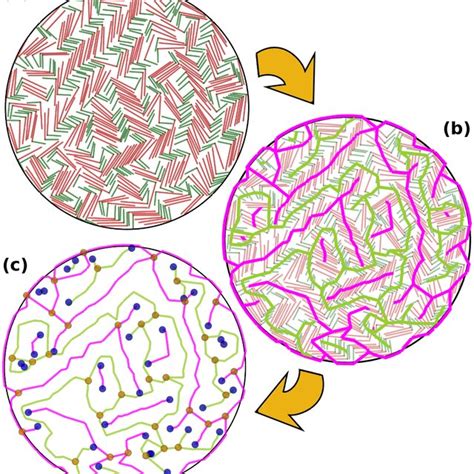 Circularly Confined L Particles On Different Levels Of Coarse Graining