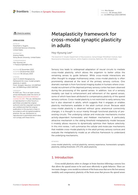 Pdf Metaplasticity Framework For Cross Modal Synaptic Plasticity In