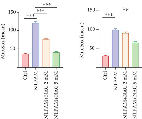 Ntpam Induced Enhancement Of Mtros Is Associated With Overexpression Of