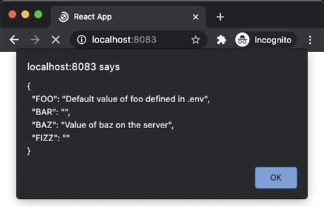 [solved] using environment variables in react application reactjs