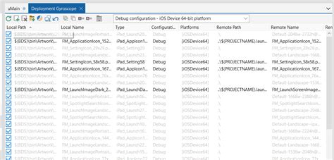 delphi ide project file deployment project options 4344369