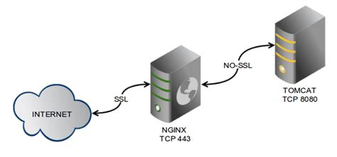 configurar nginx como proxy inverso de tomcat rm rf es