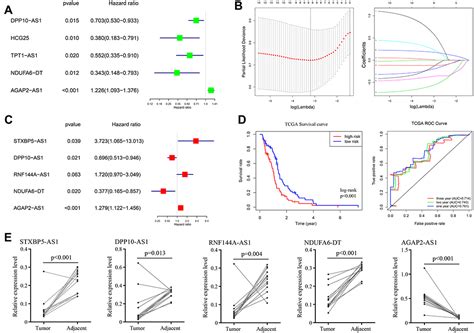 identification of novel lncrna markers in glioblastoma multiforme and ott