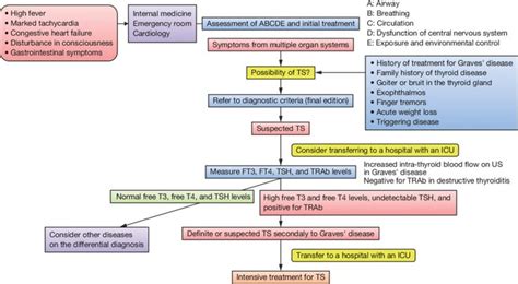 an algorithm for diagnostic considerations in thyroid