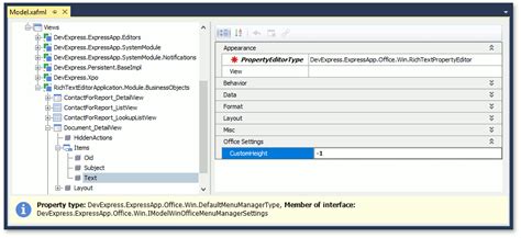 how to customize the rich text editors expressapp