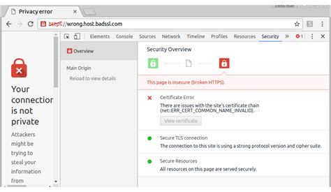 advanced rest client net err cert common name invalid and net err